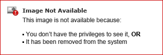 Q. How do I accept early payment offers for my invoice?: 000003503